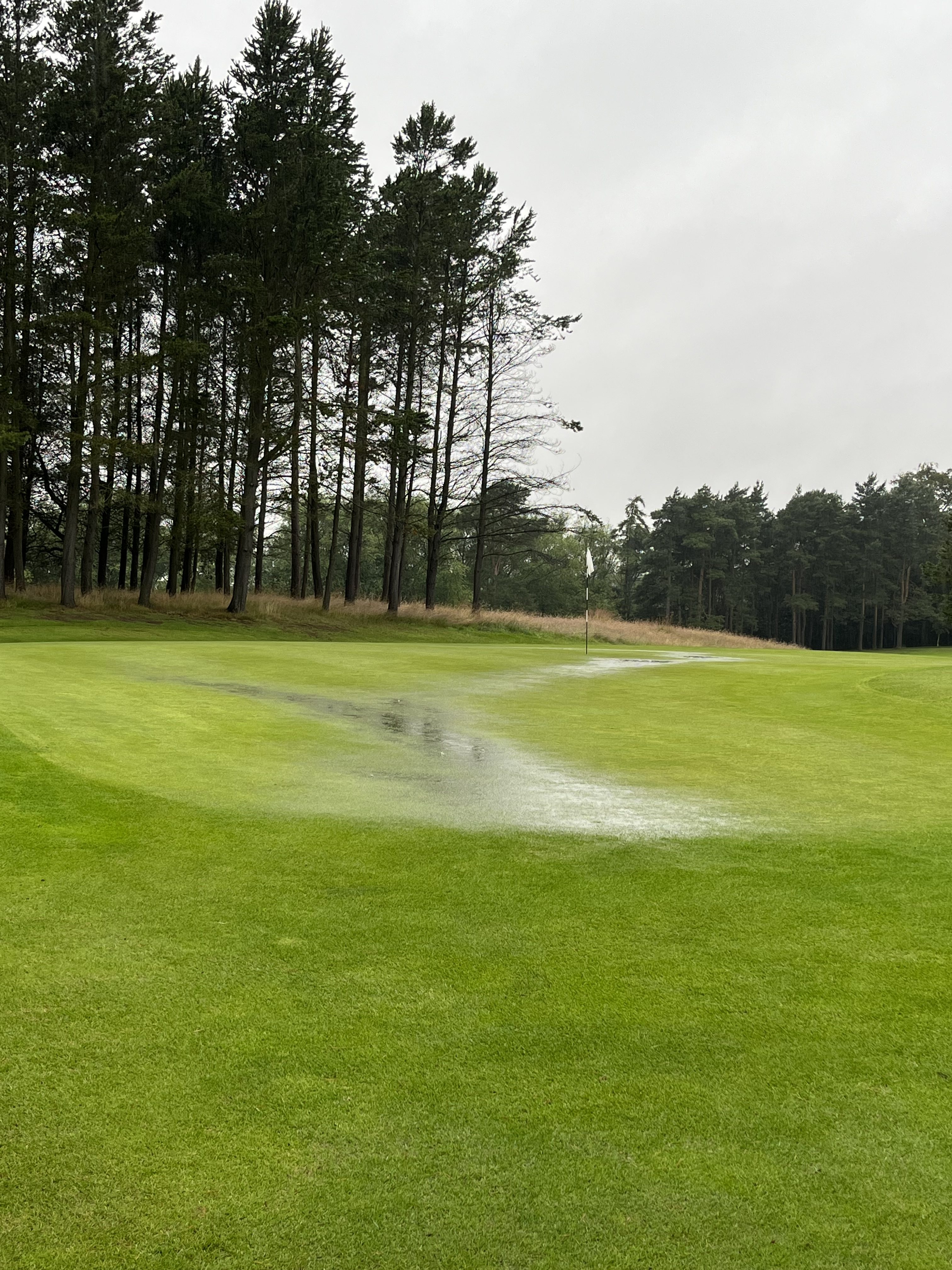 News from the fairways of Arcot Hall - Arcot Hall Golf Club