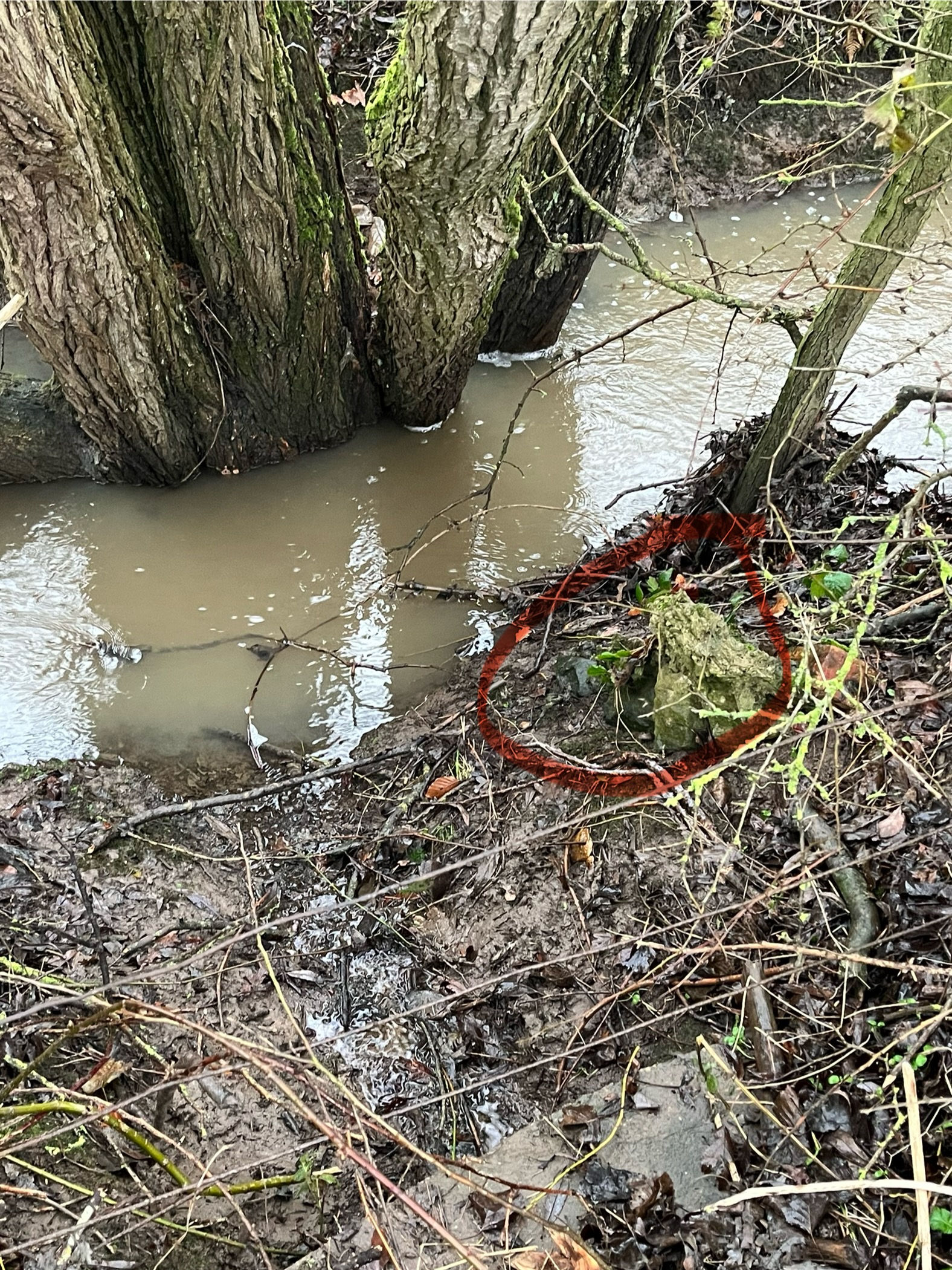 News from the fairways of Arcot Hall - Arcot Hall Golf Club